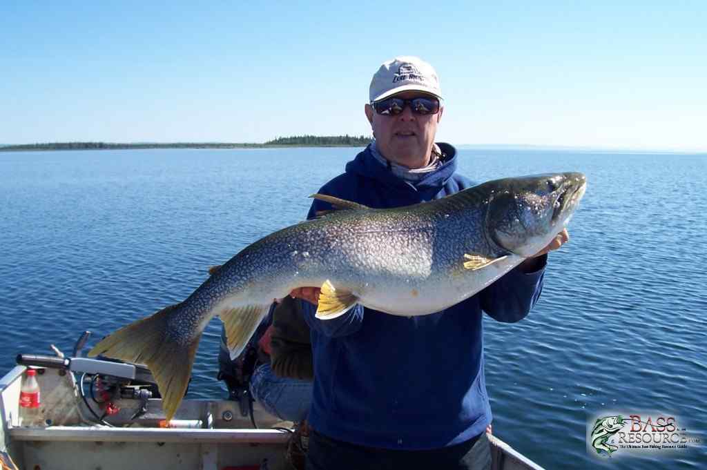 Lakers - Bass Fishing Forums