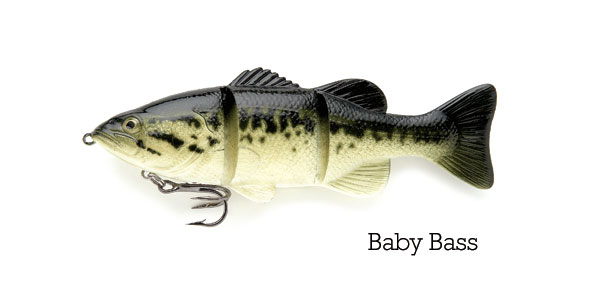 Baby Bass colored Crankbaits - Fishing Tackle - Bass Fishing Forums