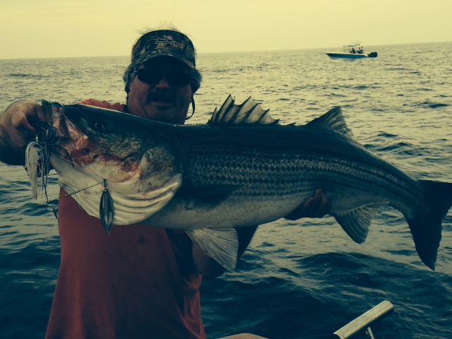 Megastrike-S Again - - Fishing Tackle - Bass Fishing Forums