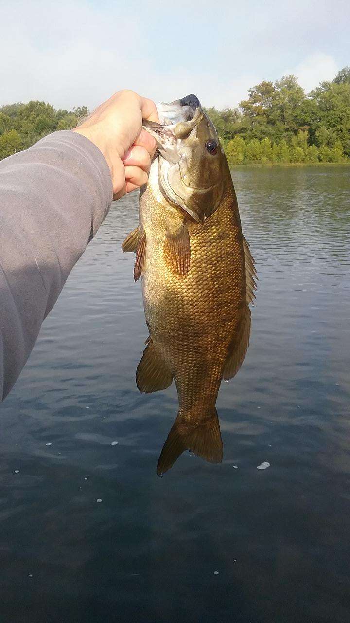 Birthday Bronzebacks - Smallmouth Bass Fishing - Bass Fishing Forums