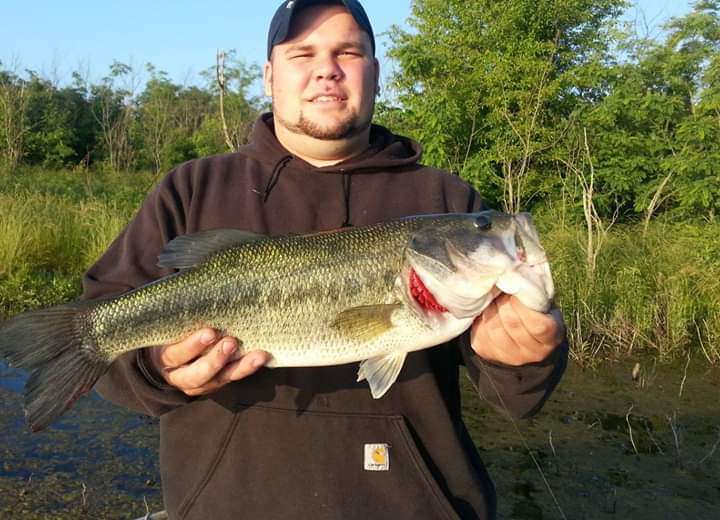 Quest for a monster northern largemouth, pics if you got em please ...