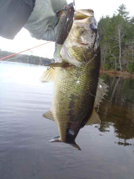 The thrill of a new pond - General Bass Fishing Forum - Bass Fishing Forums