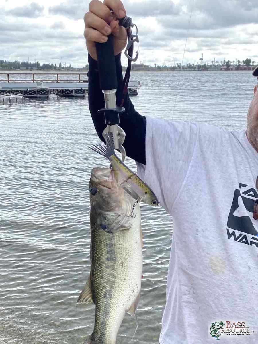 Ata & Agnes - Bass Fishing Forums