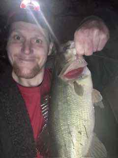 Willy82 - Bass Fishing Forums