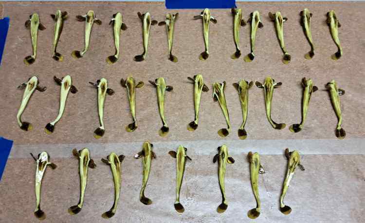 Spectacular Color Bleed Baits - Fishing Tackle - Bass Fishing Forums