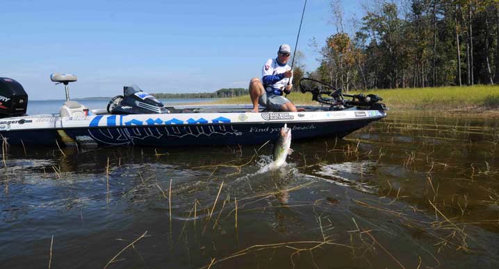 Frogs And Toads: Why They Work | The Ultimate Bass Fishing Resource ...