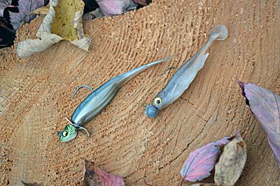Why November Bass Fishing Calls for a Jig and Minnow Setup! | The ...