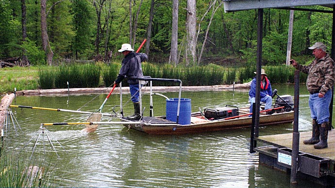 Maintaining a Healthy Forage Population | The Ultimate Bass Fishing ...