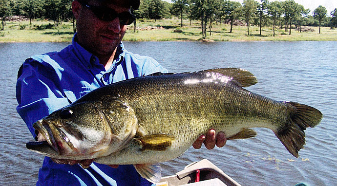 Proper Handling of Trophy Fish | The Ultimate Bass Fishing Resource ...