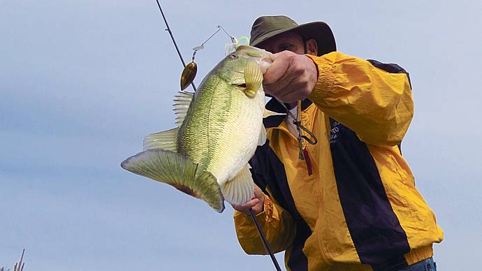 Reaction Baits for Springtime Bass | The Ultimate Bass Fishing Resource ...
