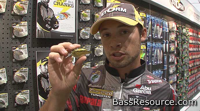 Storm Arashi Crankbait | Video | The Ultimate Bass Fishing Resource ...