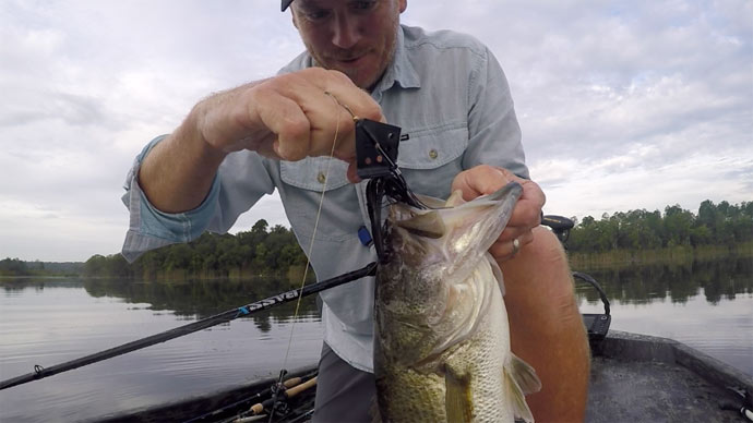 Tactics For Trophy Bass | The Ultimate Bass Fishing Resource Guide® LLC