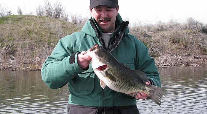 The Early Migration Period | The Ultimate Bass Fishing Resource Guide® LLC