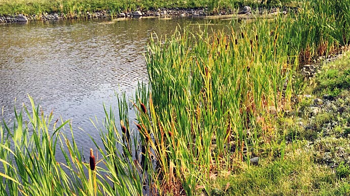 Winter Drawdown | The Ultimate Bass Fishing Resource Guide® LLC