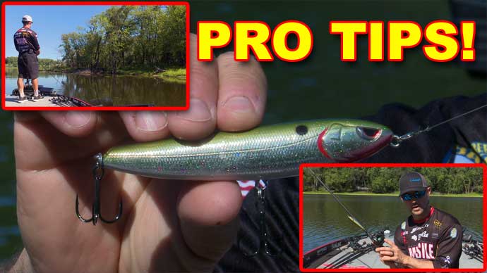 Best Fall Topwater Lures (They REALLY Work!) | Video | The Ultimate ...