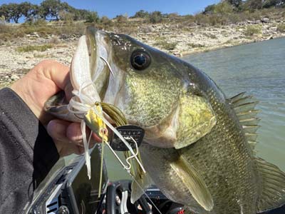 The Latest JDM Lure Trends | The Ultimate Bass Fishing Resource Guide® LLC