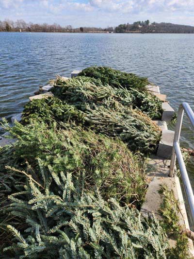 Beaverfork Lake Receives New Fish Habitat Sites | The Ultimate Bass ...