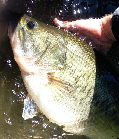 Small Water, Big Largemouth | The Ultimate Bass Fishing Resource Guide® LLC