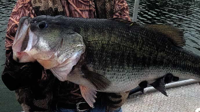 Fish and Lake Management | The Ultimate Bass Fishing Resource Guide® LLC